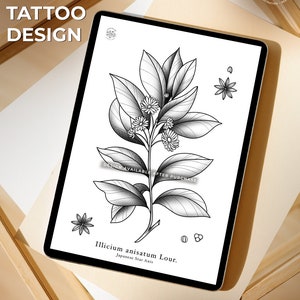 Greyscale Japanese Star Anise - Botanical Art - Black/grey - Instant ...