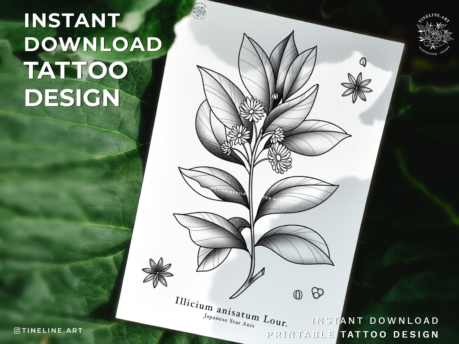 Greyscale Japanese Star Anise - Botanical Art - Black/grey - Instant ...
