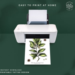 Japanese Star Anise Tattoo Design – Botanical Art, Shading Stencil ...