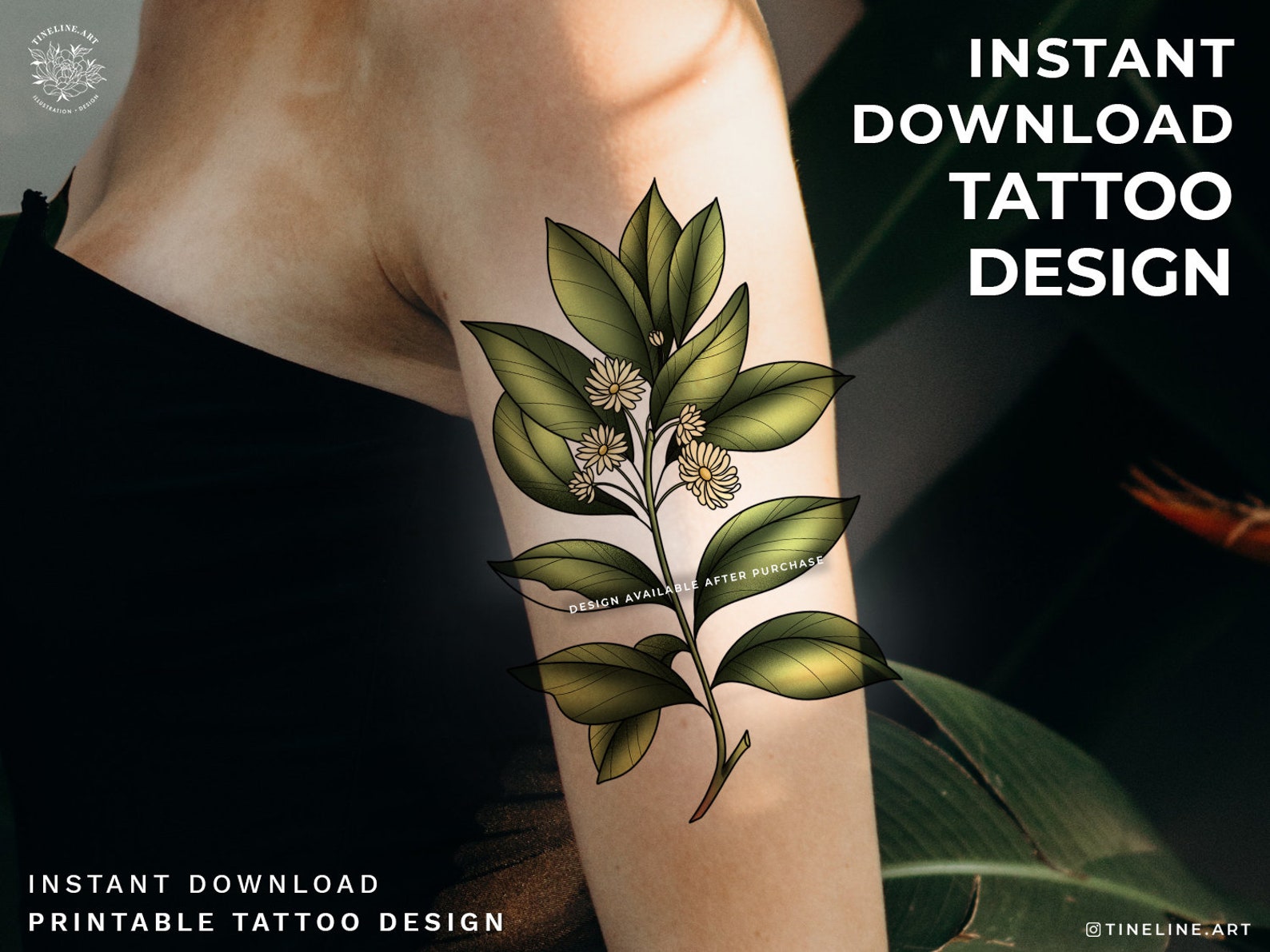Japanese Star Anise Tattoo Design – Botanical Art, Shading Stencil ...