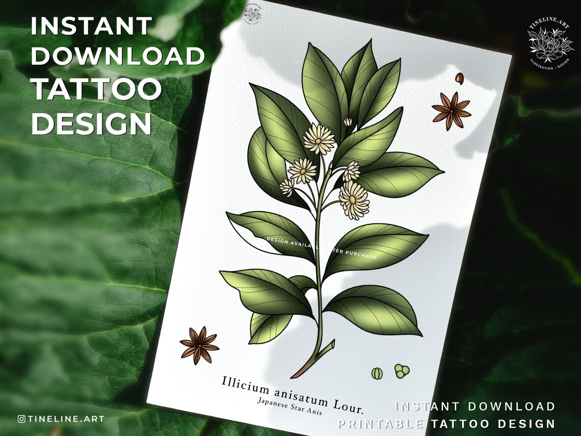 Japanese Star Anise Tattoo Design – Botanical Art, Shading Stencil ...
