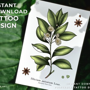 Colored Japanese Star Anise - Botanical Art - Black/grey - Instant ...