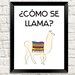 Llama Print, Alpaca Print, Llama Wall Print, Gallery Wall Print, Wall ...