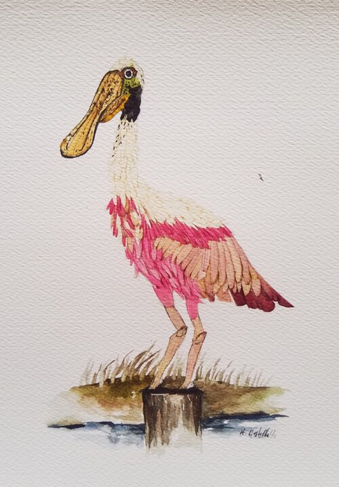 Spoonbill Print in Watercolor - Etsy