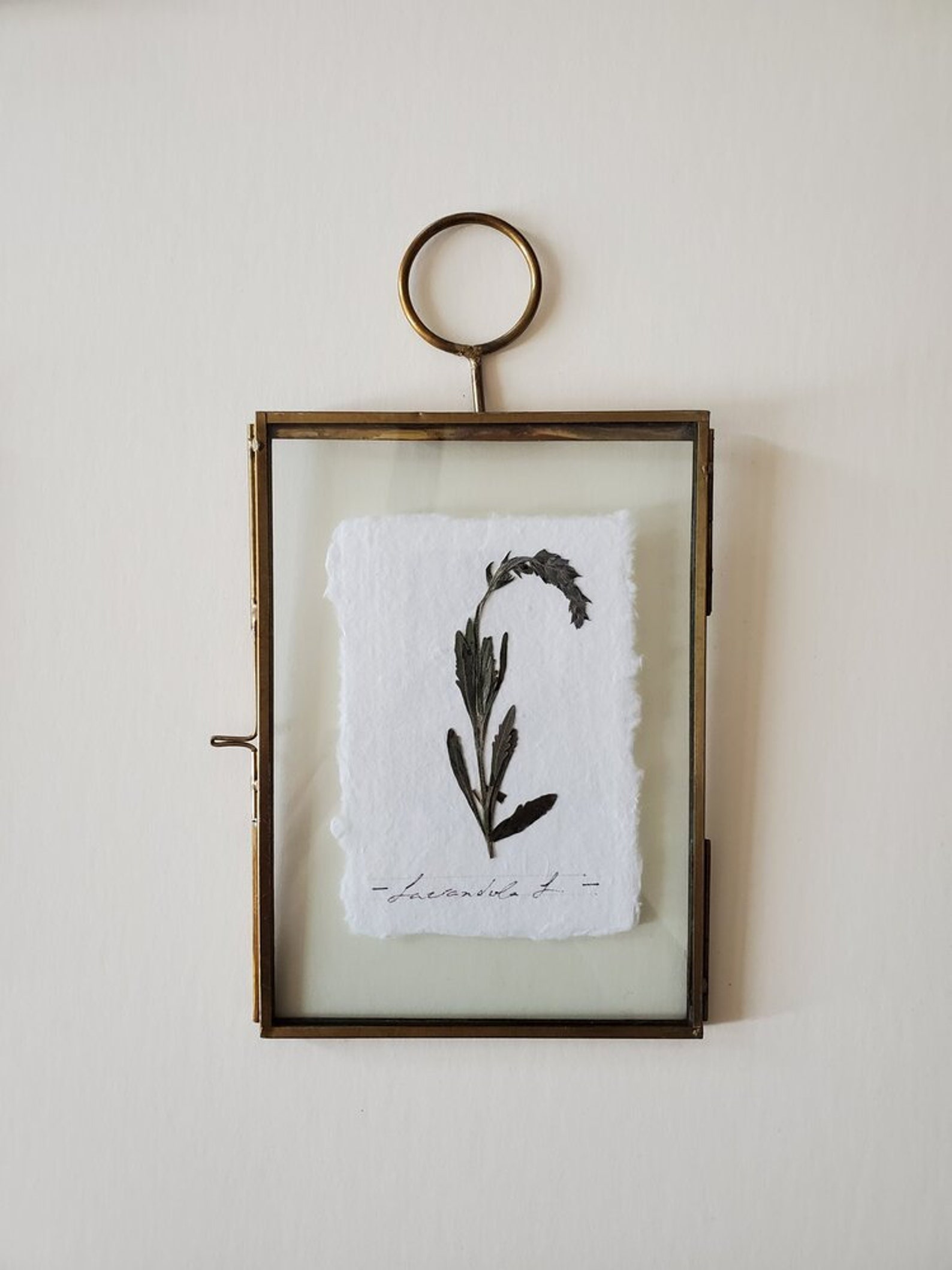 Brass Frame Loop - Etsy
