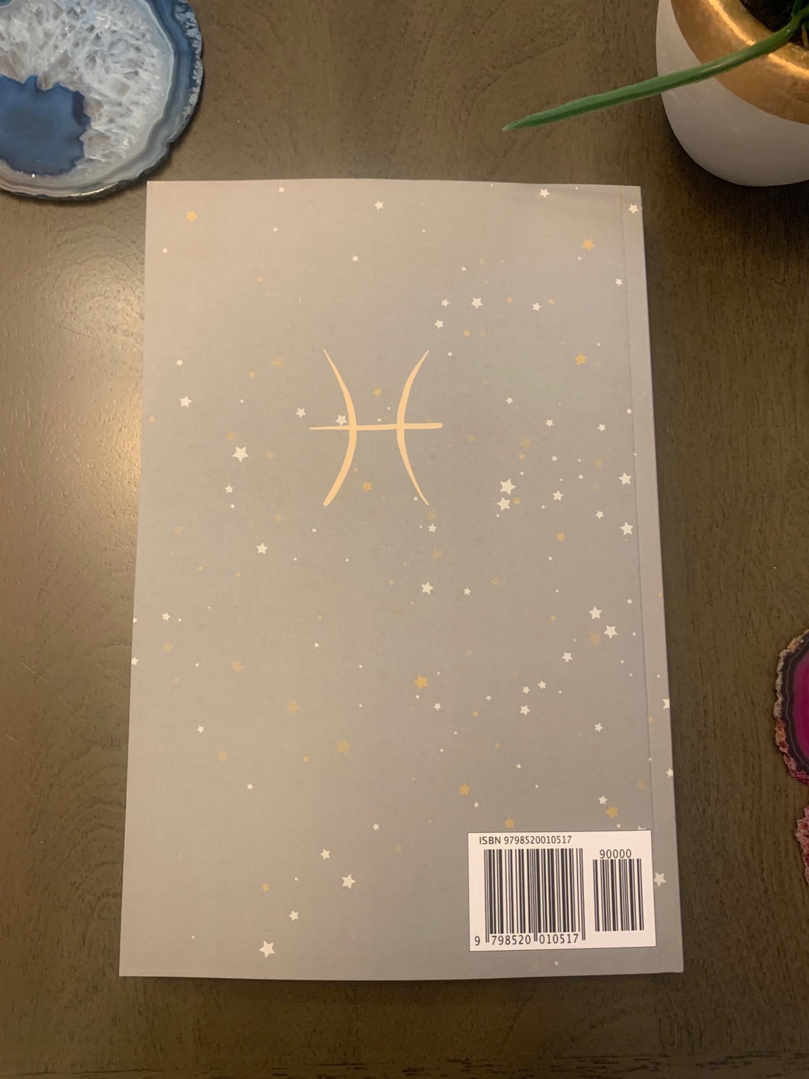 Pisces Zodiac Journal / Pisces Astrology Journal / Pisces / Gift for ...