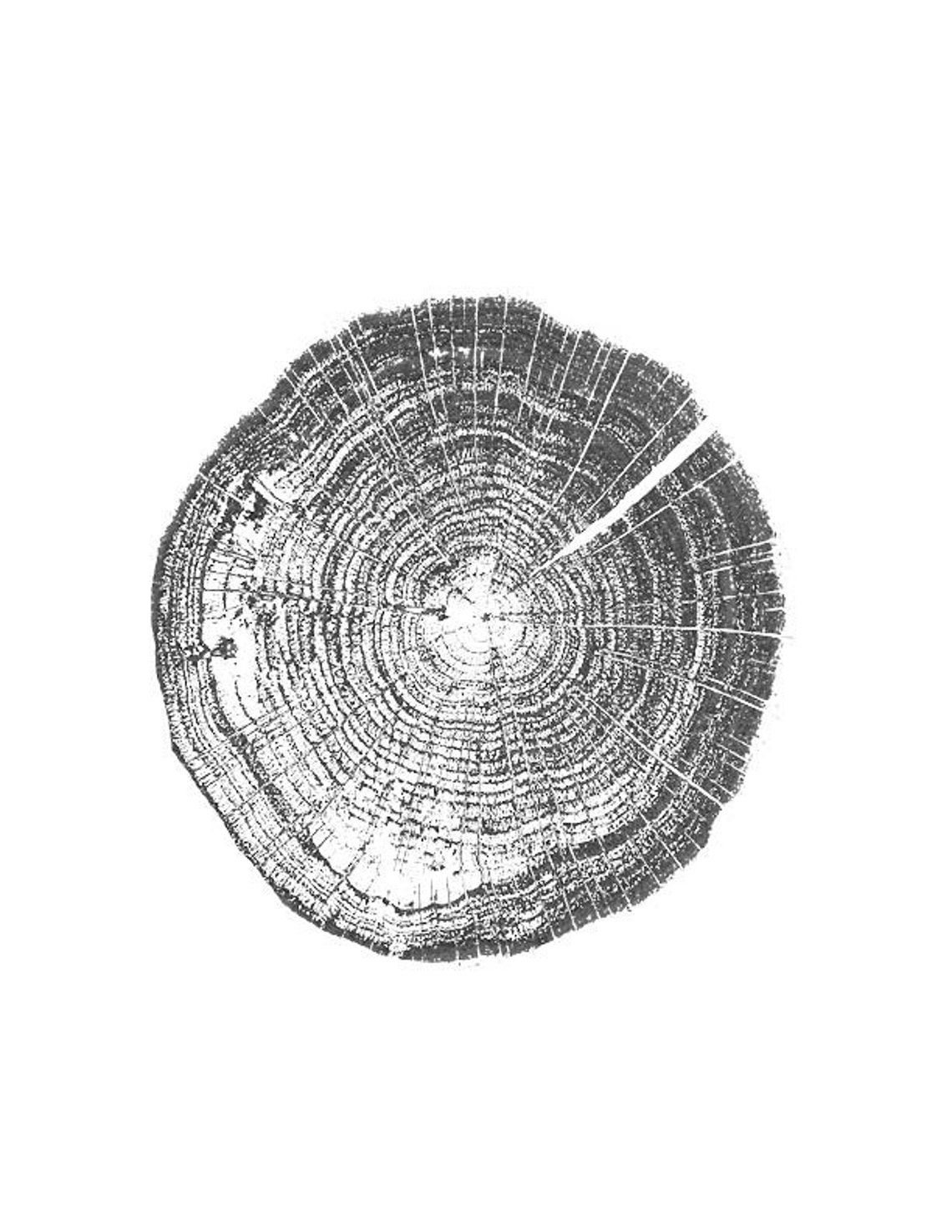 Tree rings Log ring Raw wood ink blot log rings Black | Etsy