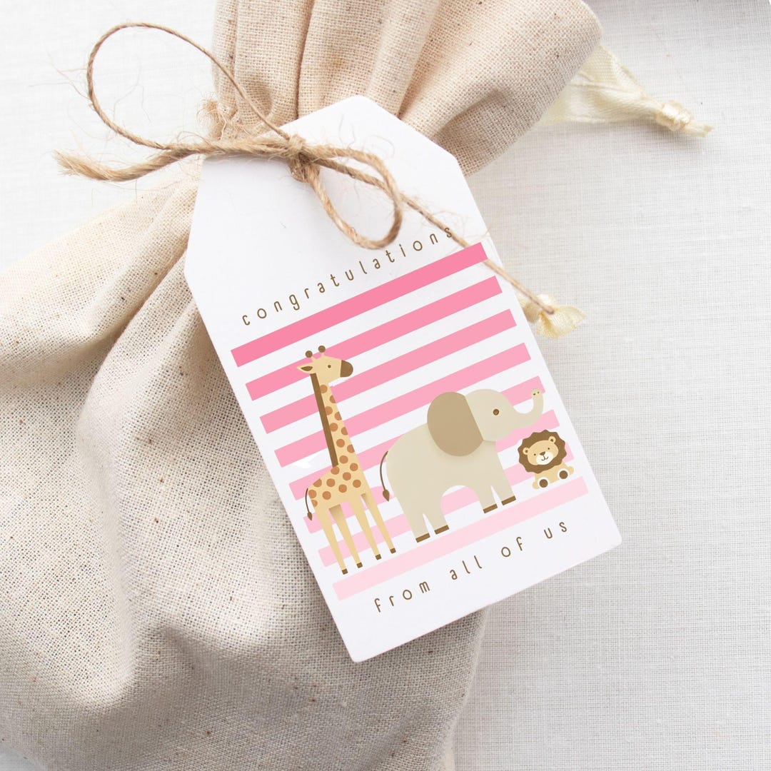 Printable Baby Girl Gift Tag for Shower Present | Gift Basket ...