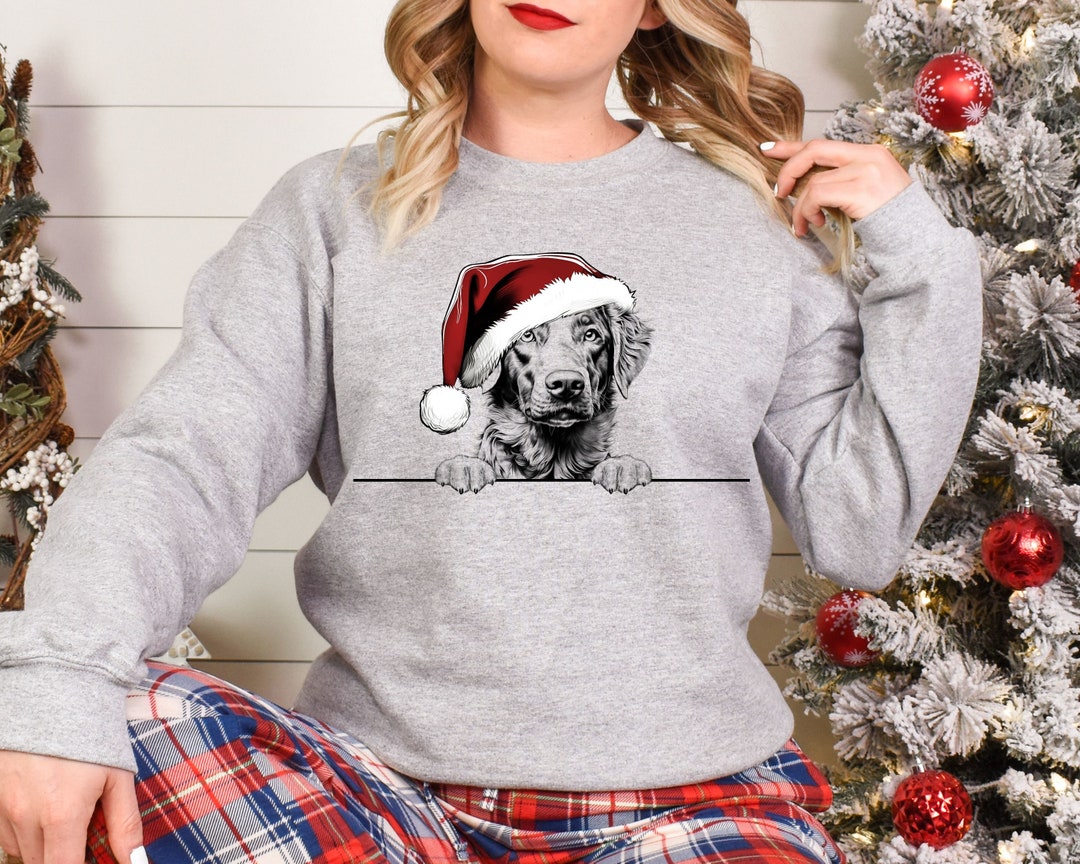 Xmas Sweatshirt Chesapeake Bay Retriever Dog Christmas Sweater Xmas ...