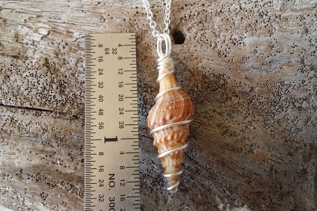 Handmade in Hawaii Wire Wrapped Natural Conch Seashell - Etsy
