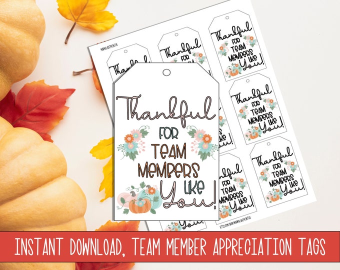 Team Appreciation Printable Gift Tags, You're Extra Amazing Team Member ...
