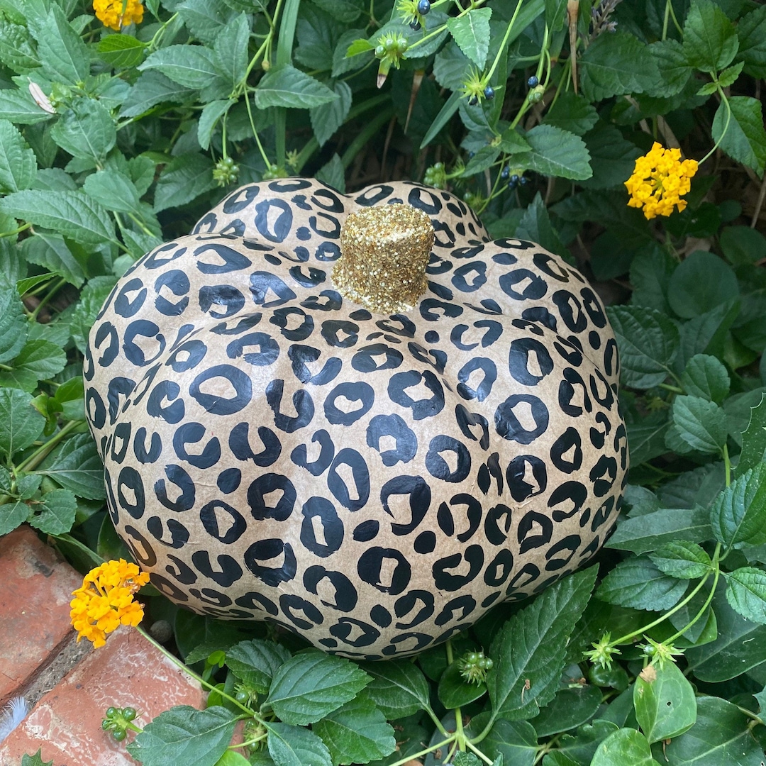 Hand Painted Pumpkins/ Painted Pumpkins/ Pretty Pumpkins/ - Etsy
