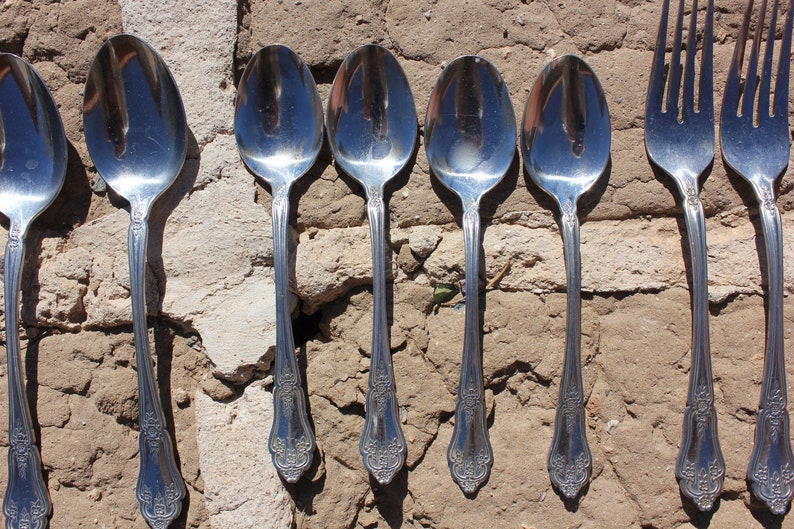Vintage Rogers Co. Unknown Pattern, Floral Stainless Flatware Set - 24 ...