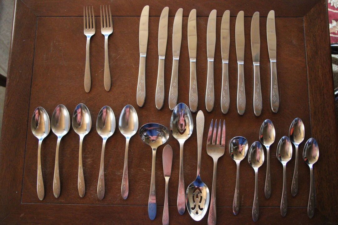 Vintage Oneida Wm Rogers Stainless Flatware - OLD WINTER - 27 Pcs - Etsy