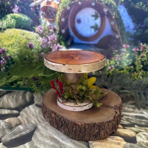 Miniature Birch Top Fairy Table With a Yellow Flower and Red Berries - Etsy