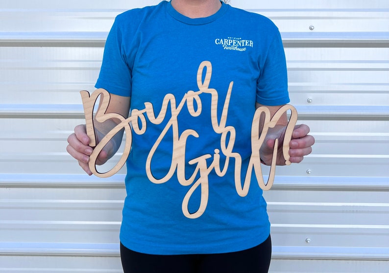 Boy or Girl Sign Boy or Girl Wooden Sign Gender Reveal - Etsy