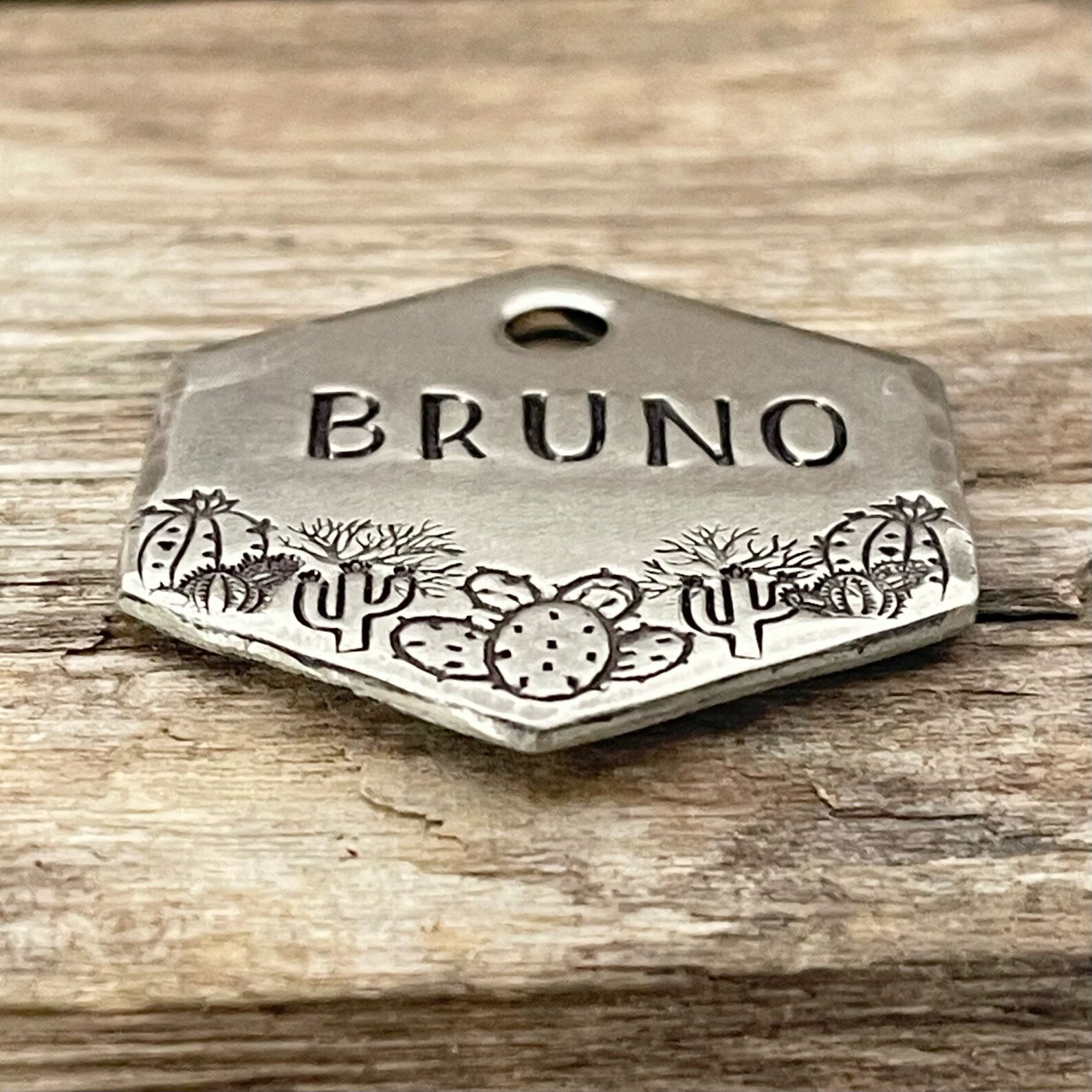 Dog Tags for Dogs the Cactus Garden Cactus Dog Tag - Etsy
