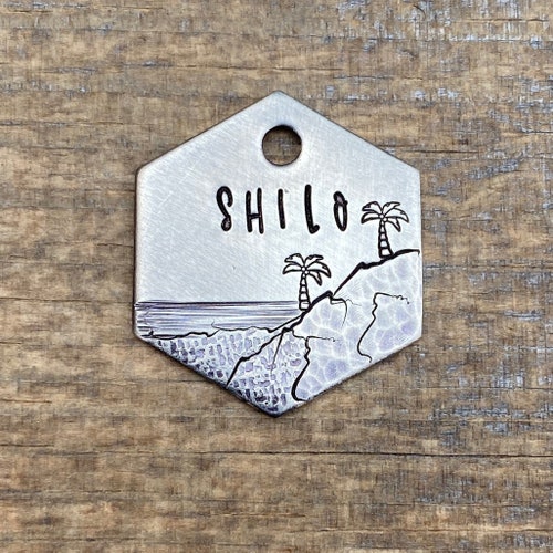 Pet ID Tag Dog Tag Dog Tags for Dogs Dog Tags Roos Ridge | Etsy