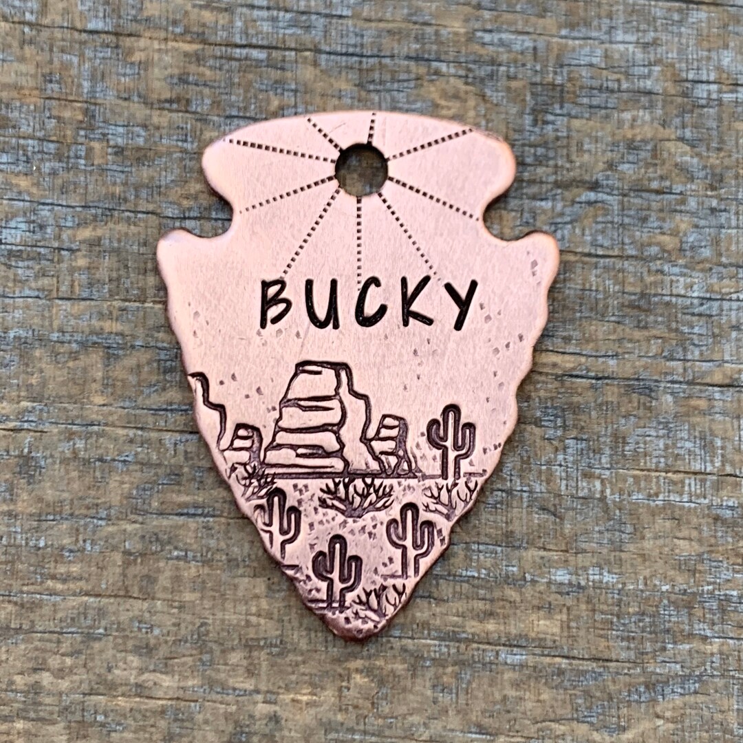 Dog Tag, Dog Tag for Dogs, Dog Tags, MEDIUM Arrowhead, the Saguaro ...