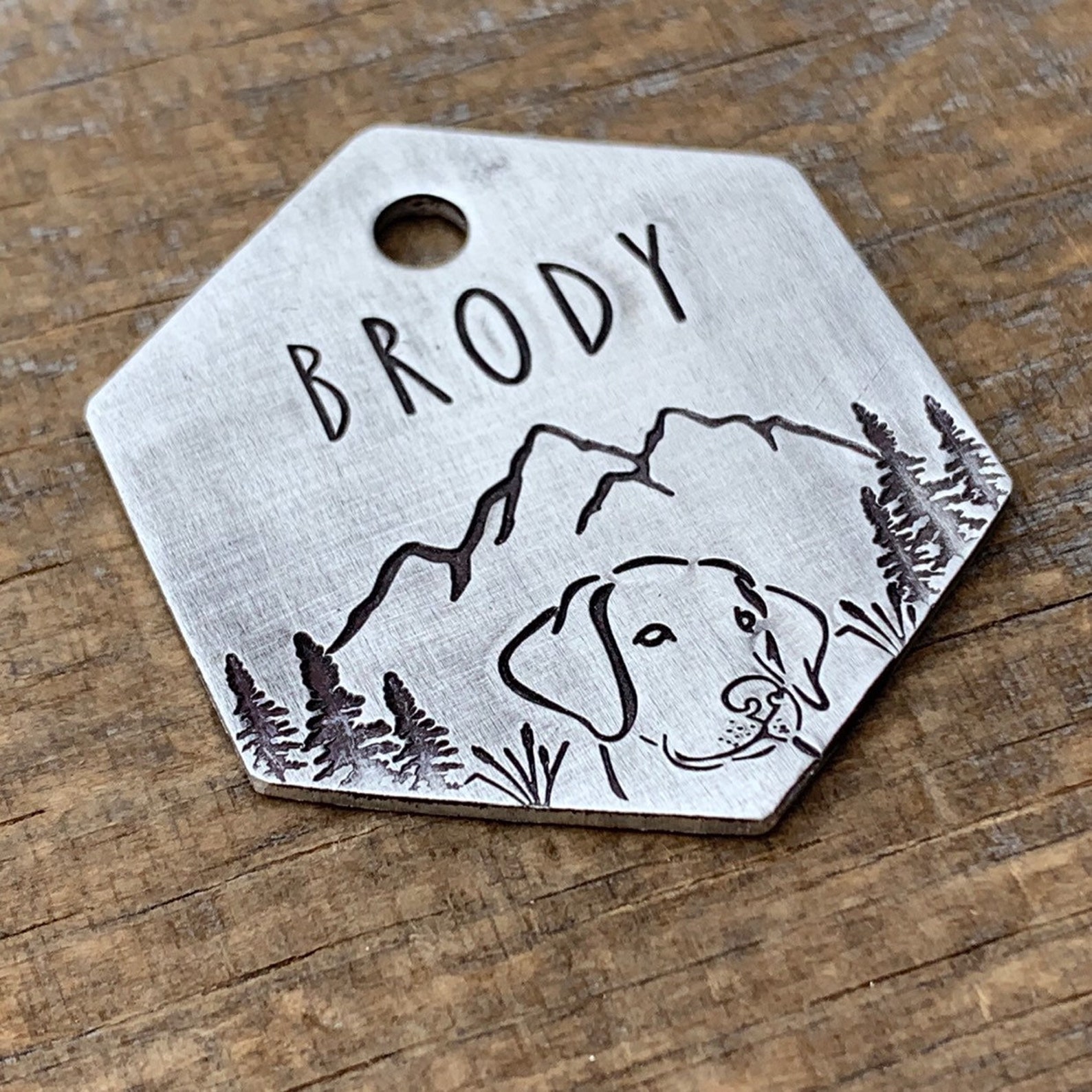 Pet ID Tag Dog Tag Dog Tags for Dogs Collar ID Tag | Etsy