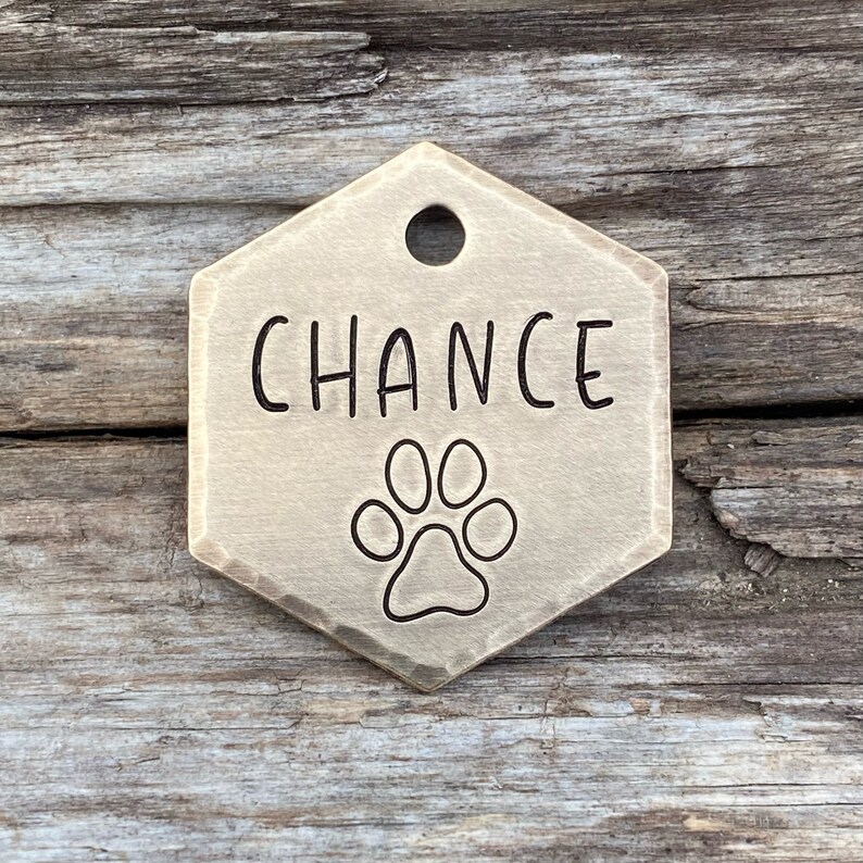 Dog Tag Dog Tags for Dogs Dog Tags Pet Id Tag The Maine | Etsy