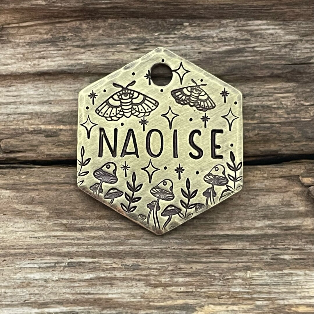 Pet ID Tag, Dog Tag for Dogs, Dog Tag, Dog Collar Tag, Pet Name Tag ...