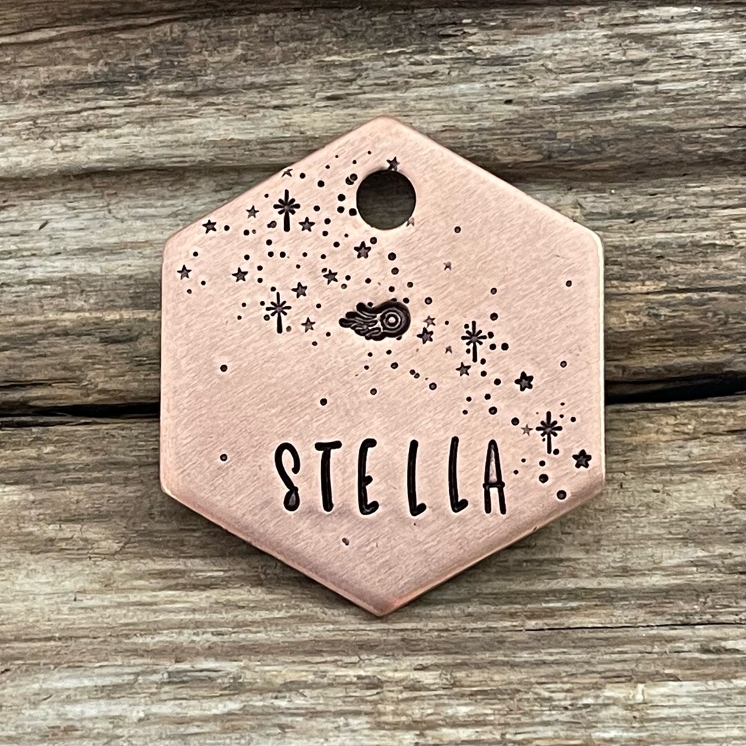 The Comet, Dog Tag, Dog Tags for Dogs, Dog Tags, Pet Id Tag ...