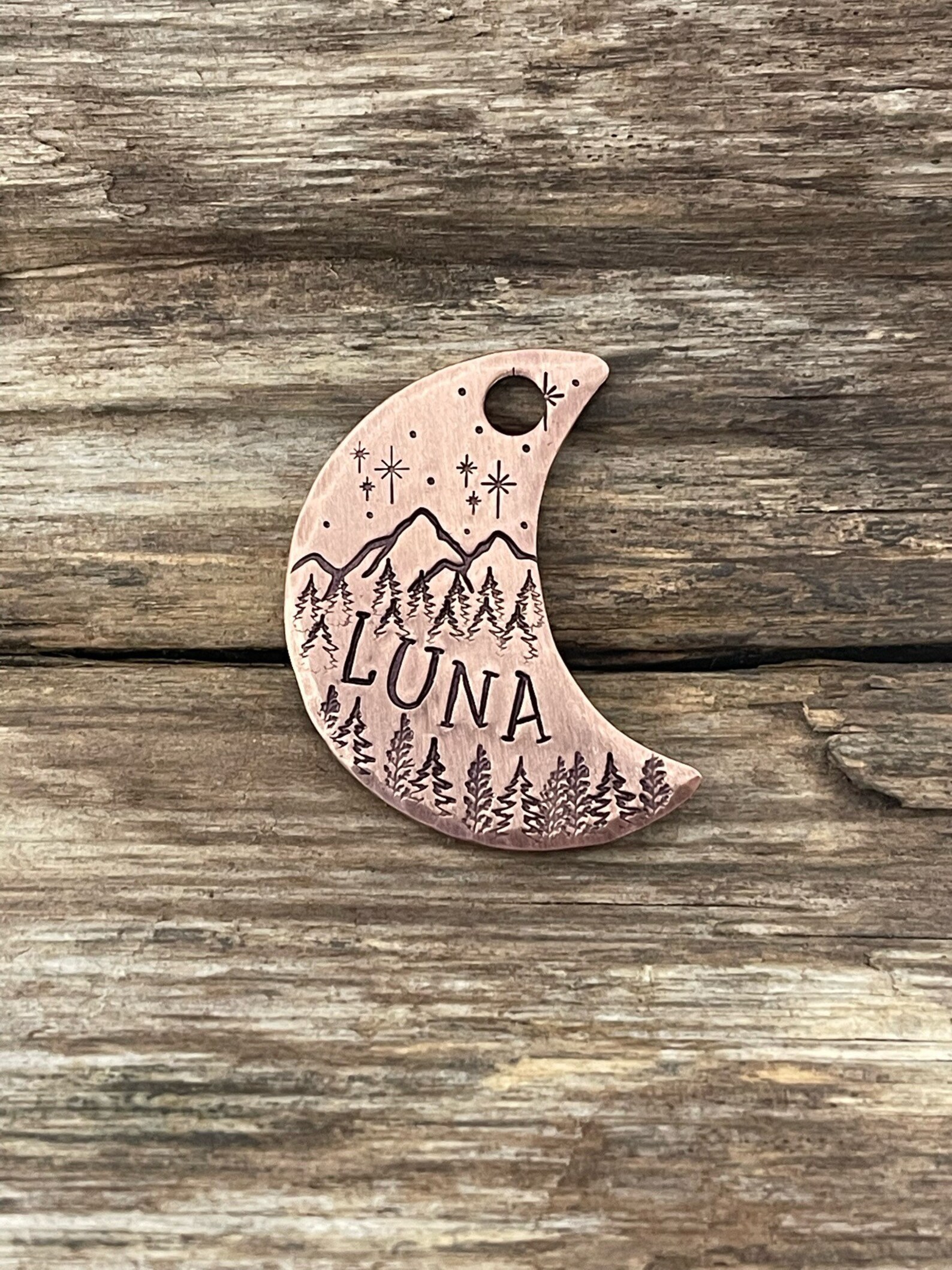 The Mountain Moon Personalized Moon Pet Tag Pet Id Tag - Etsy