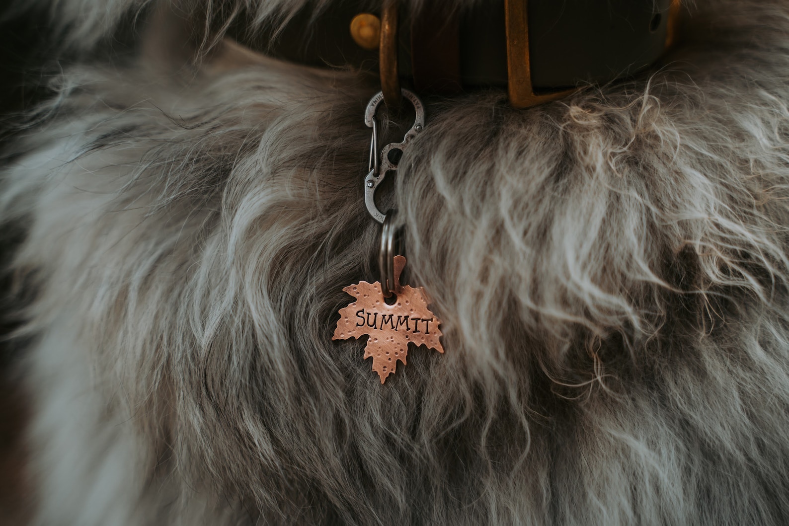 Dog Tag Maple Leaf Dog Tags for Dogs Personalized Dog Tag - Etsy