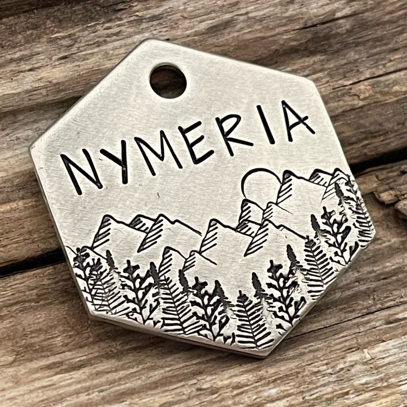 Dog Tag Pet Tag Pet Id Puppy Tag Dog ID Tag Custom Dog - Etsy