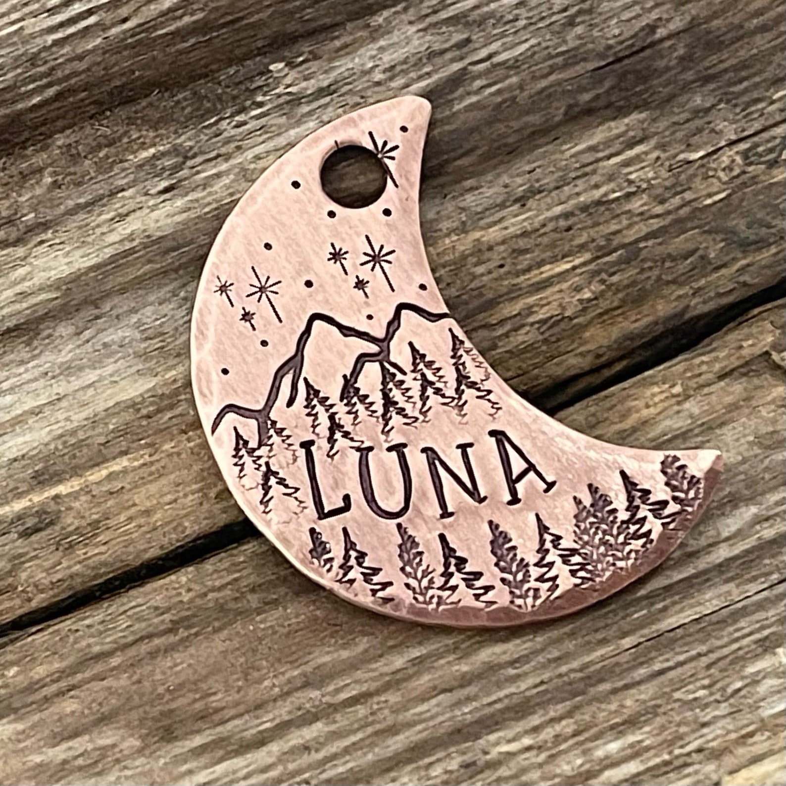 The Mountain Moon Personalized Moon Pet Tag Pet Id Tag - Etsy
