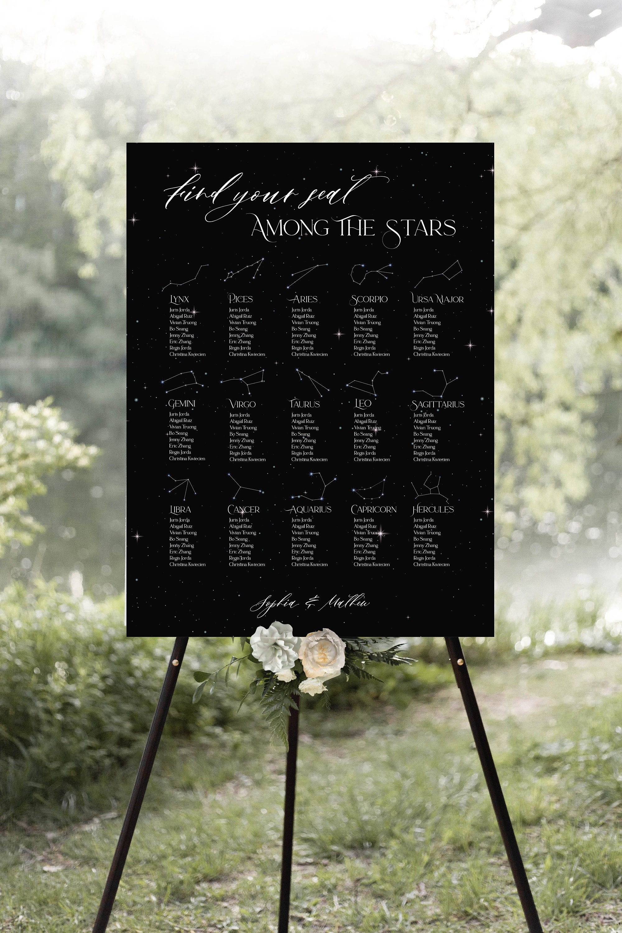 Black Celestial Seating Plan Zodiac Wedding Seating Chart - Etsy