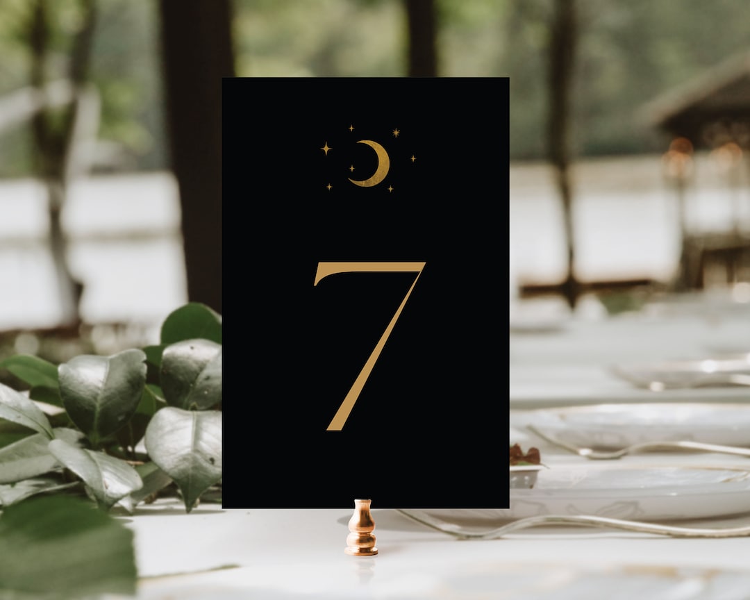 Minimal Celestial Table Number, Starry Night Reception Décor, Table Top ...