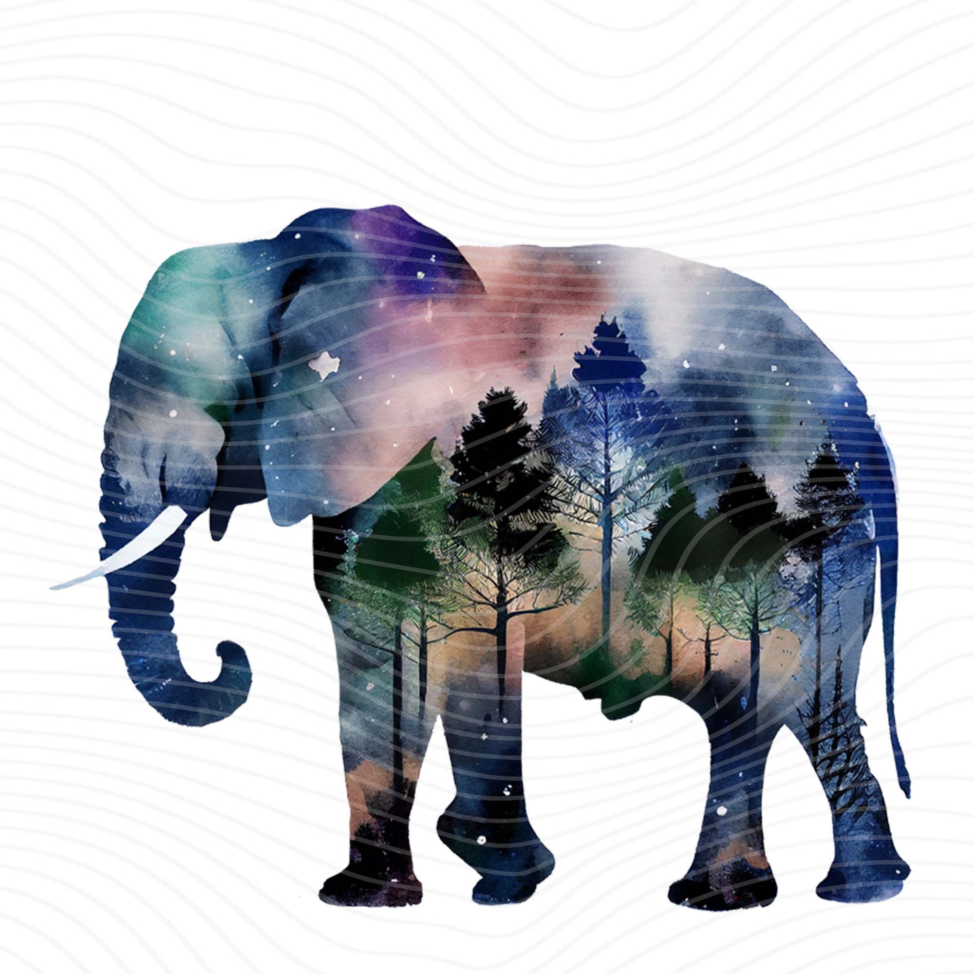 Galaxy Elephant Clipart Elephant Watercolor Celestial PNG - Etsy