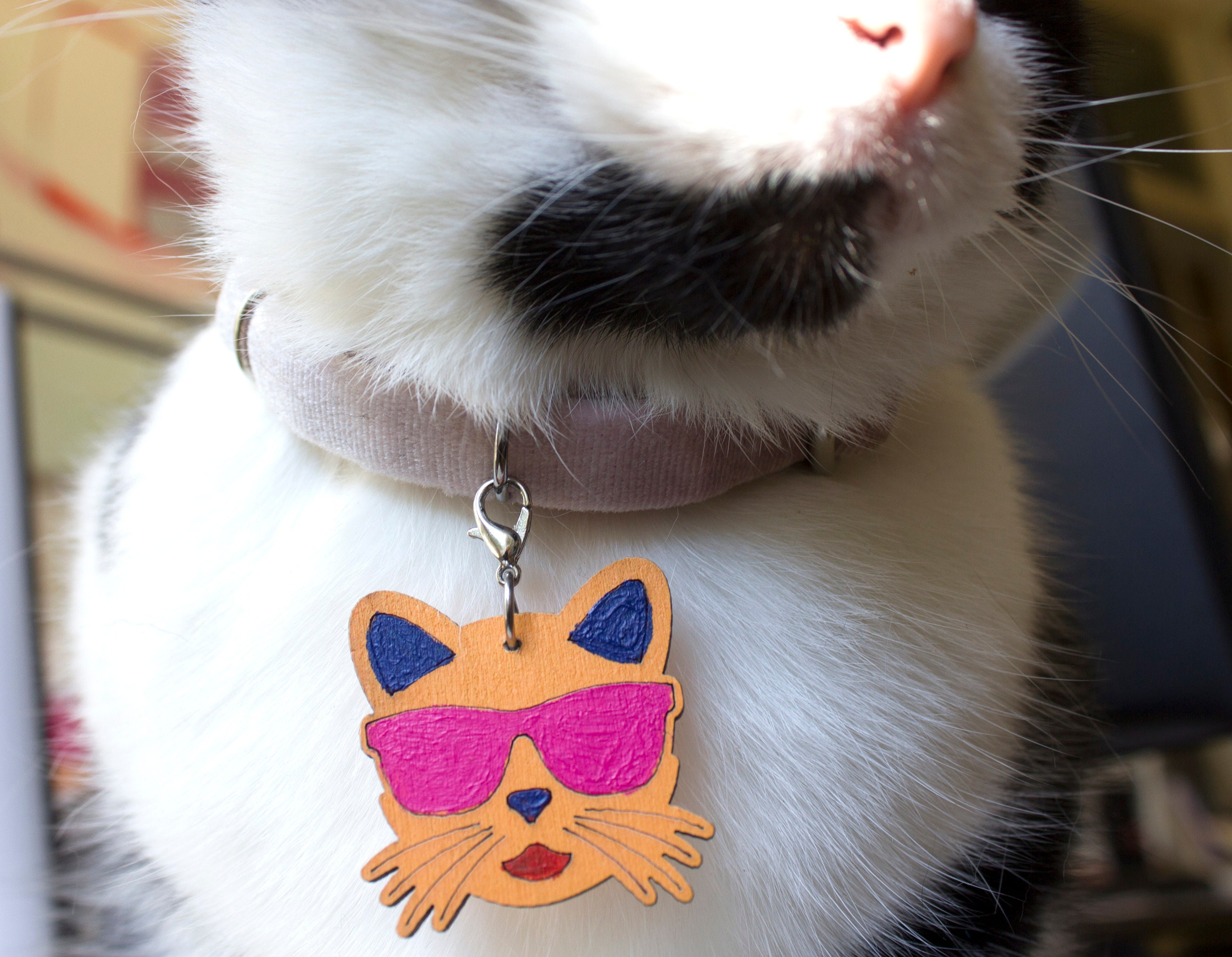 Emerald Green Velvet Cat Collar Mis Kitty With Pink Sunglasses - Etsy
