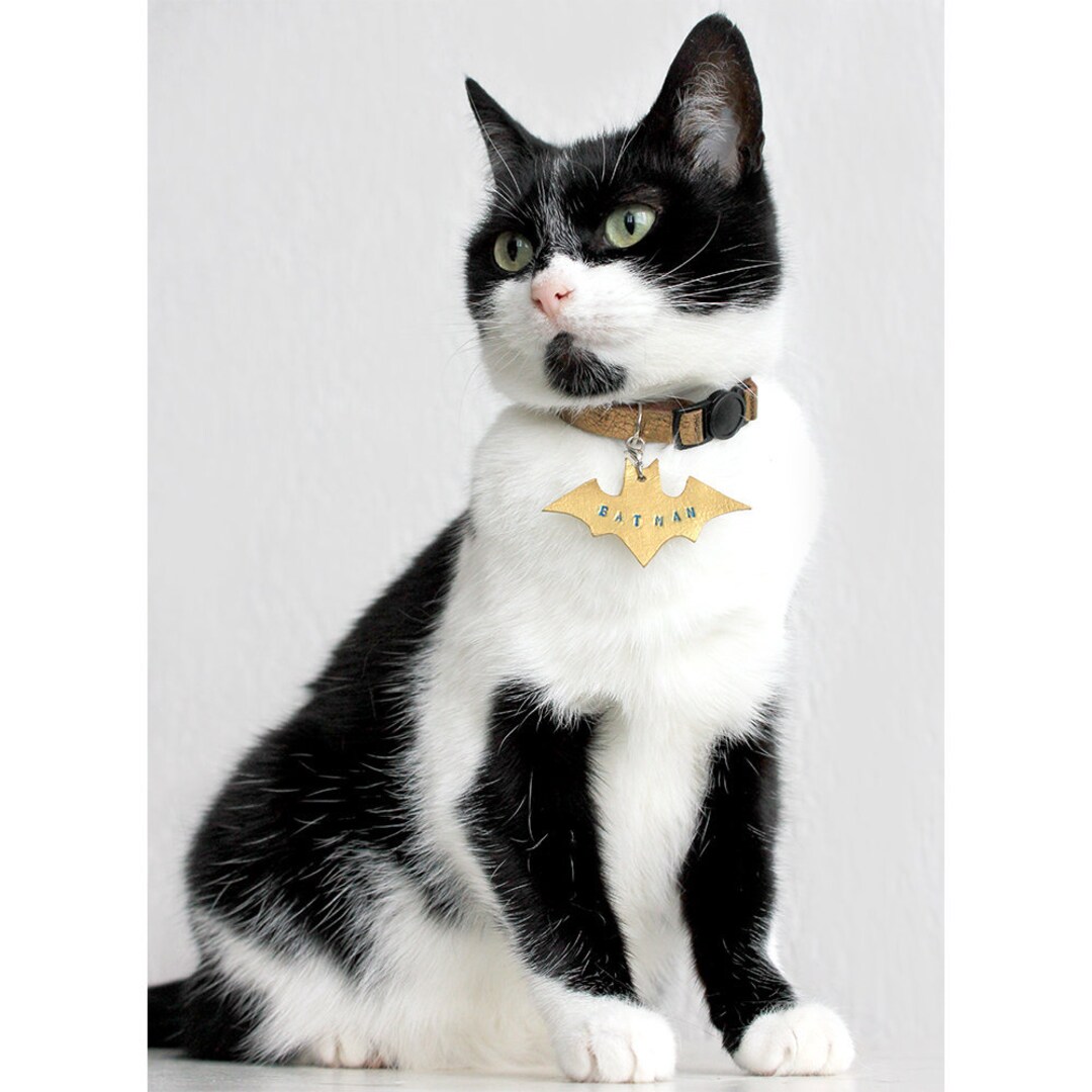 Personalized Fancy Cat Collar With Bat Tag-golden Bat Tag Name- Golden ...