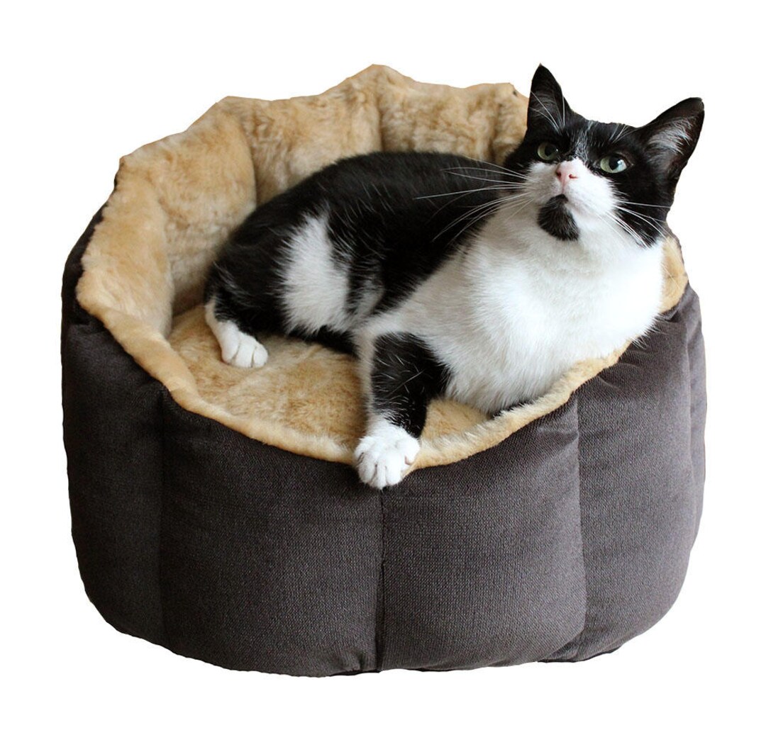 Cat Bed-faux Fur Cat Bed -cat Pouf-sofa Honey-small Dog Bed- Pet Bed ...