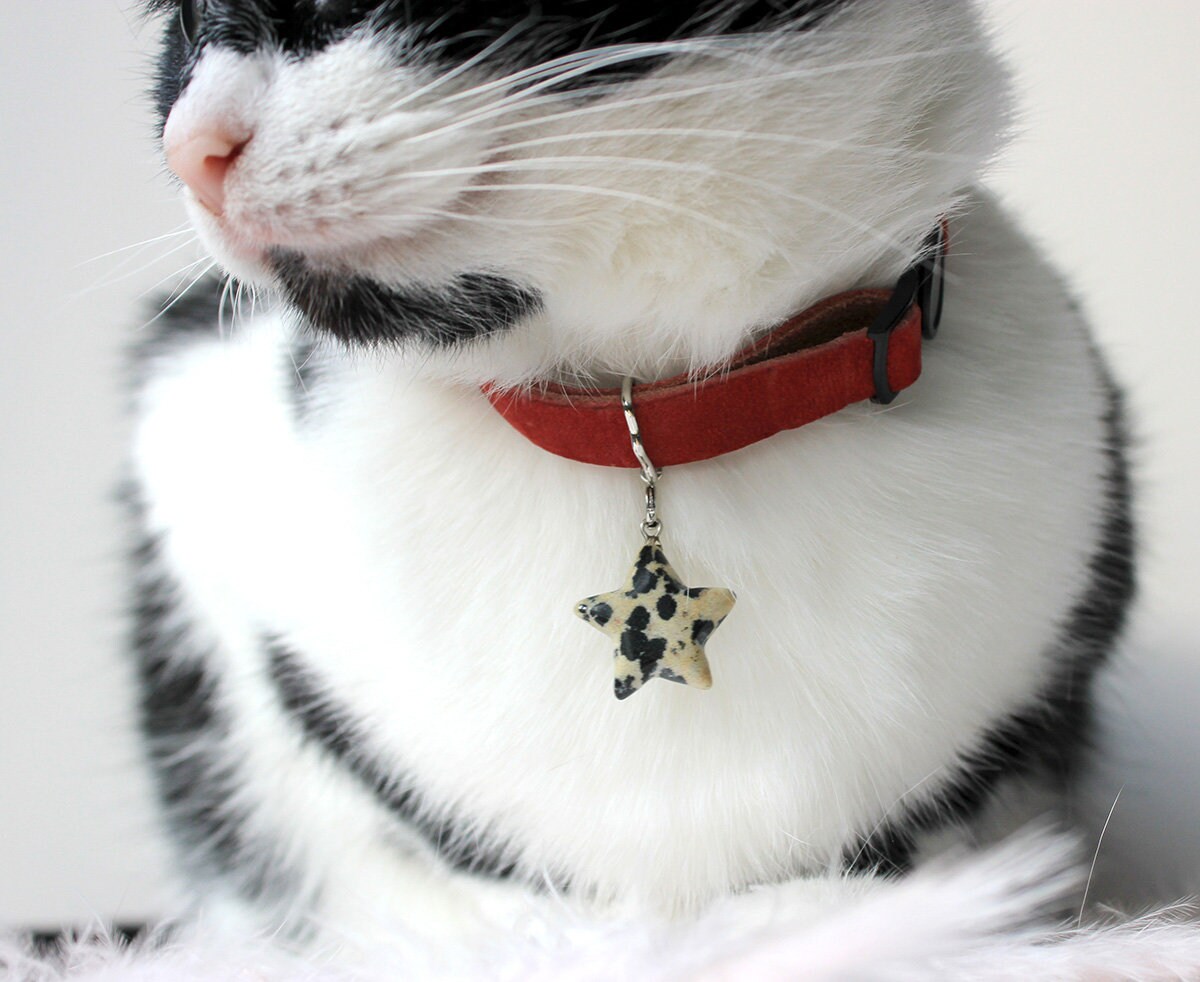Fancy Elegant Red Leather Cat Collar With Jewel Jasper - Etsy