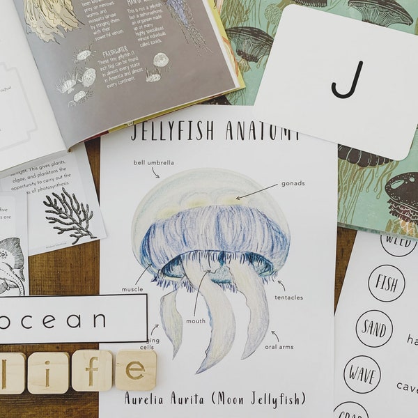 Jellyfish - Etsy