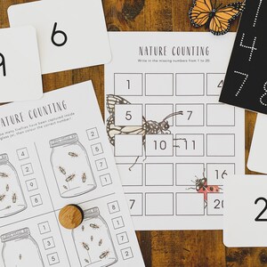 Nature Counting | Homeschool Printables | Homeschool Resources | Bug ...
