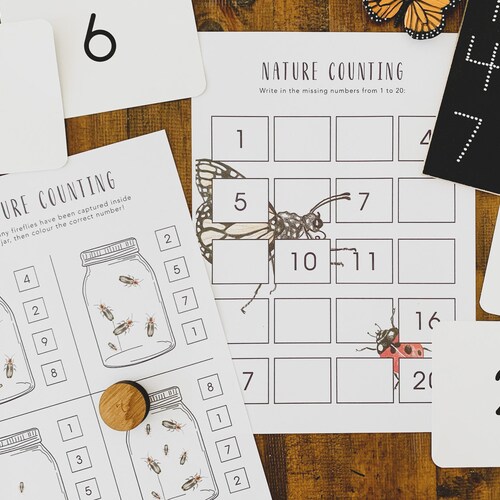 Nature Counting Homeschool Printables Homeschool Resources - Etsy