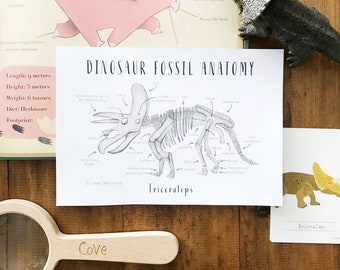Dinosaur Fossil Anatomy | Printables | Homeschool Resources | Animal ...