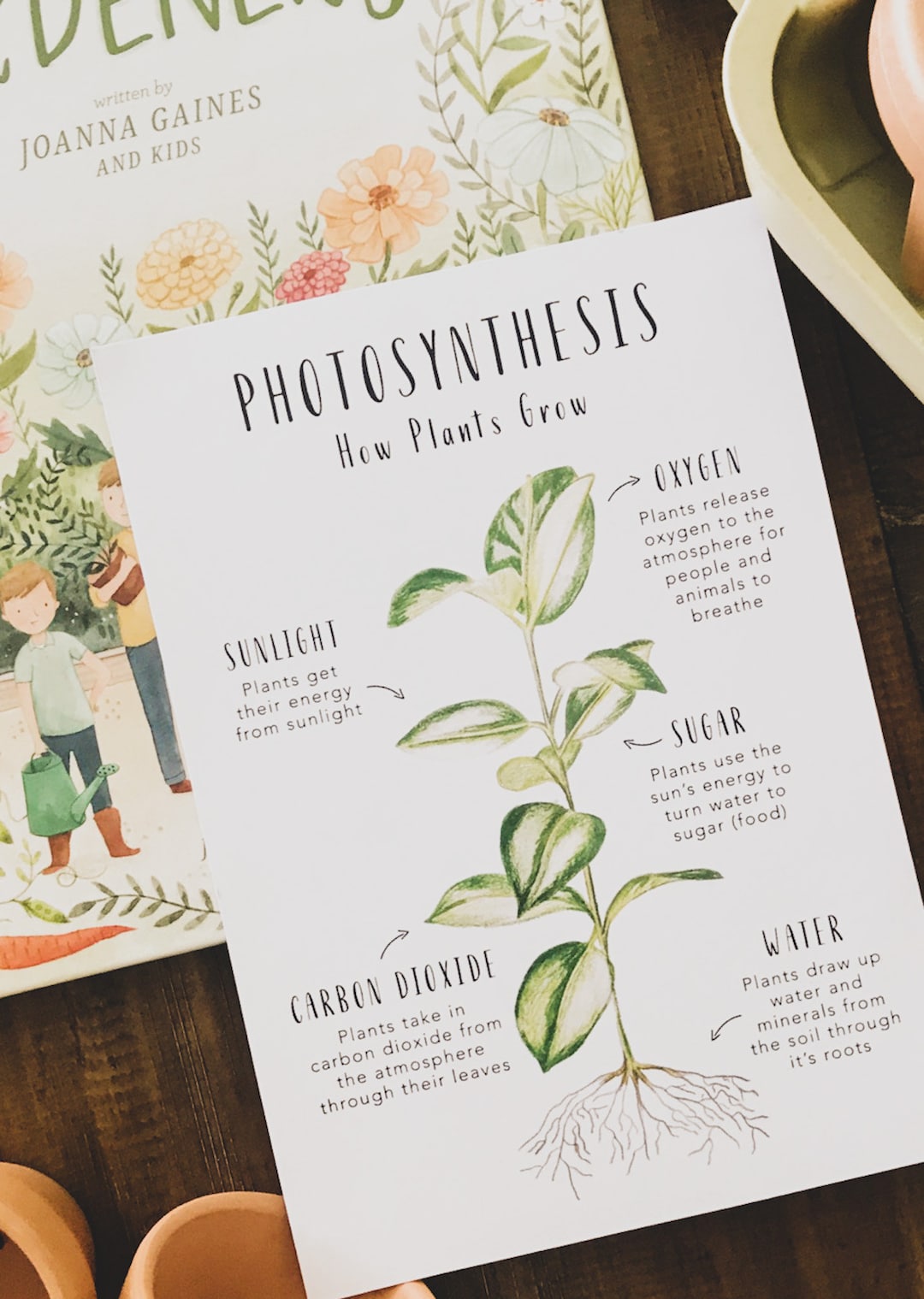 How Plants Grow | Science Cards | Homeschool Resources | Botonical ...