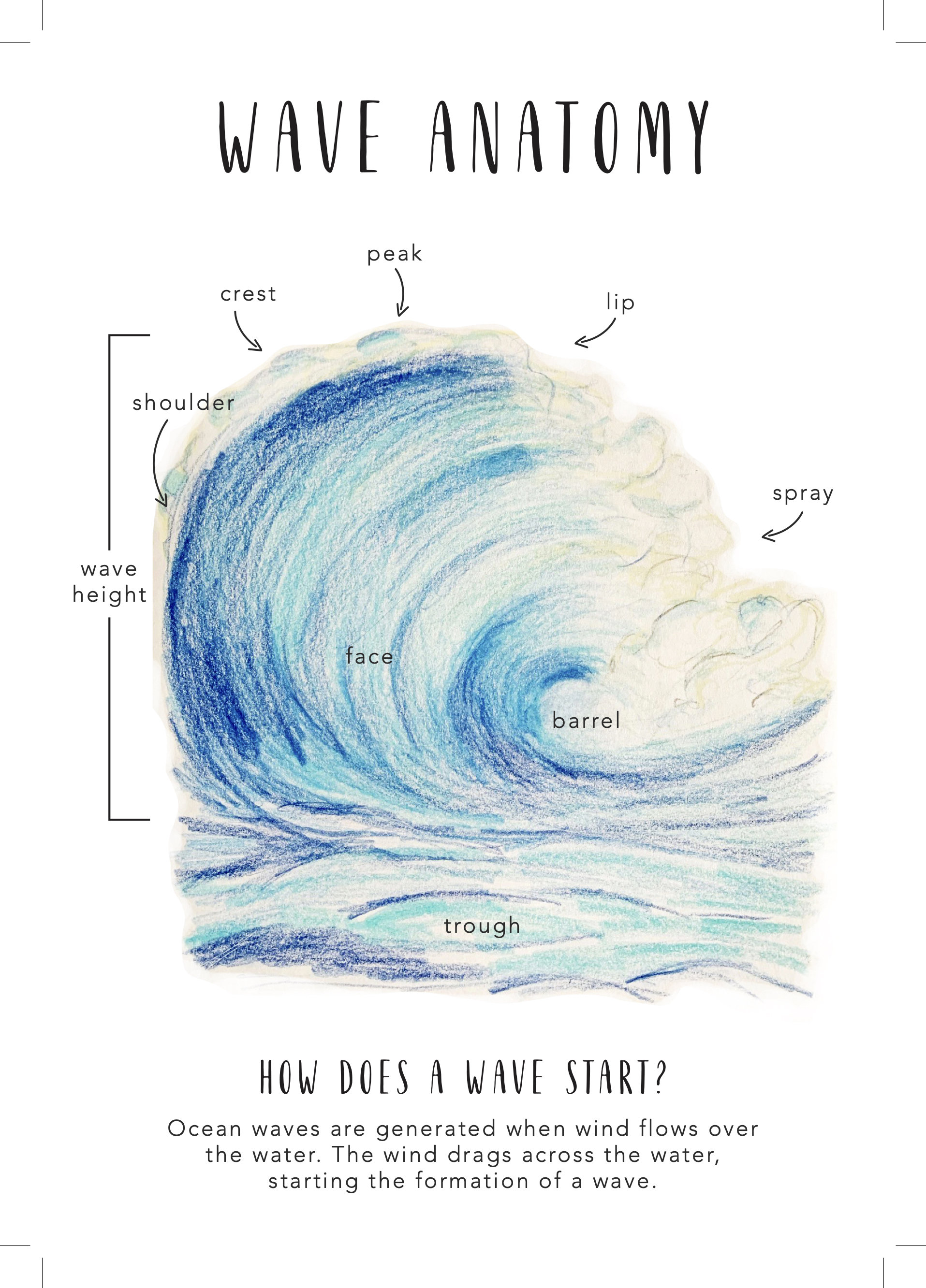 Wave Anatomy Printables Homeschool Resources Earth - Etsy Australia