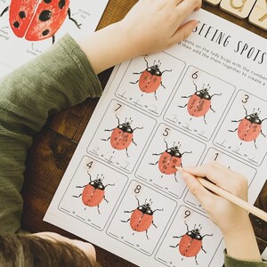 Ladybug Mini Unit Study | Educational Printables | Ladybugs ...