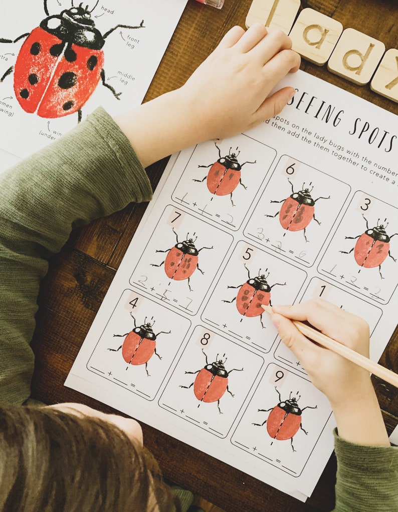 Ladybug Mini Unit Study Educational Printables Ladybugs - Etsy