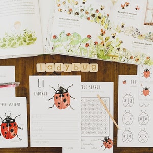 Ladybug Mini Unit Study | Educational Printables | Ladybugs ...
