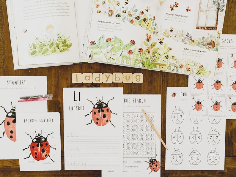 Ladybug Mini Unit Study Educational Printables Ladybugs - Etsy