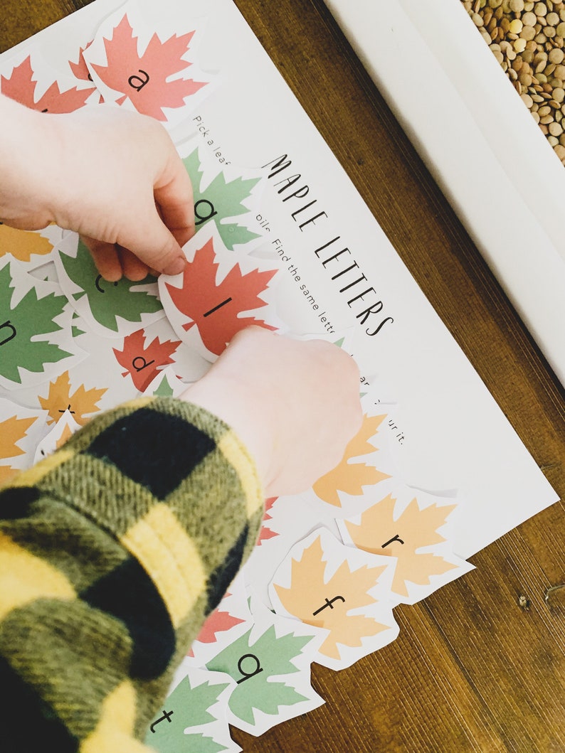 Maple Tree Printables Maple Tree Activities Homeschool | Etsy