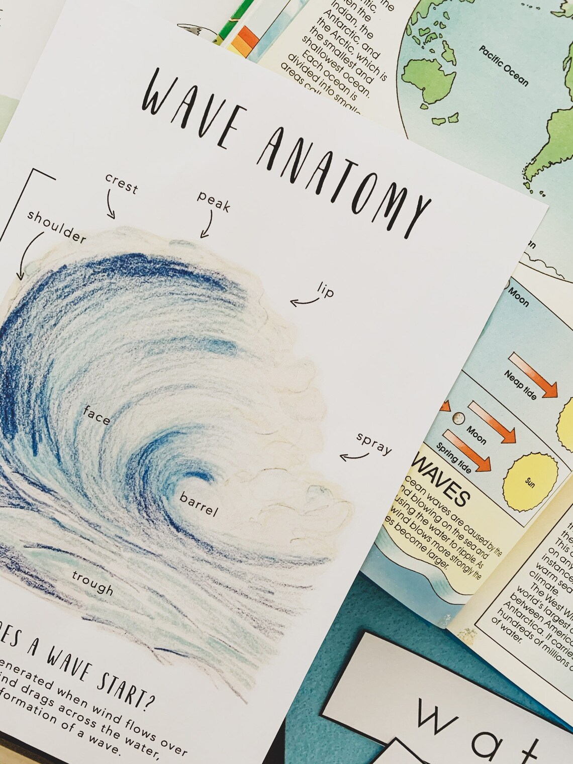 Wave Anatomy Printables Homeschool Resources Earth - Etsy